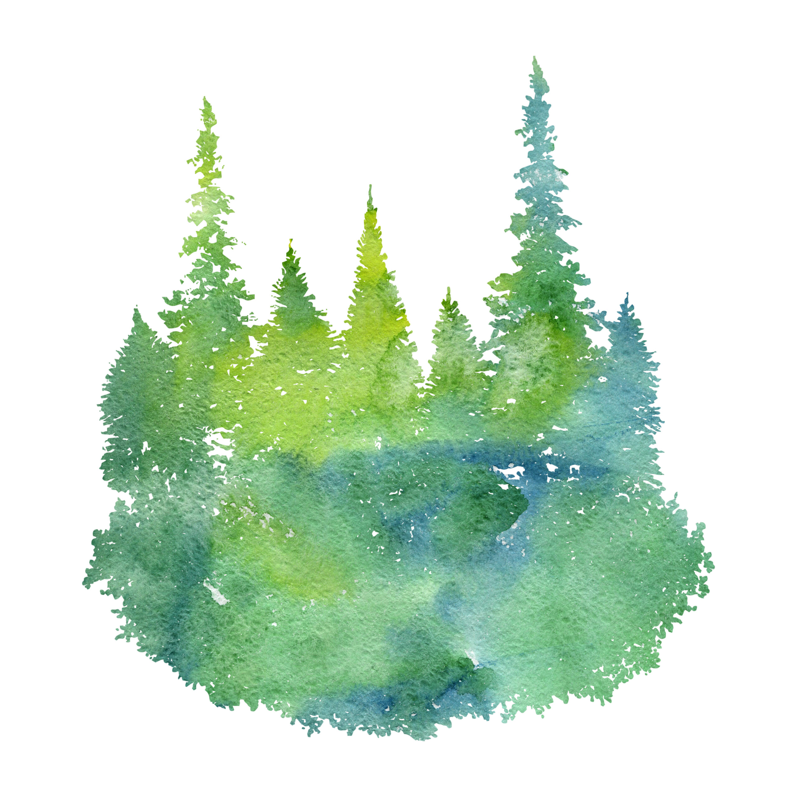 watercolor landscape with fir trees